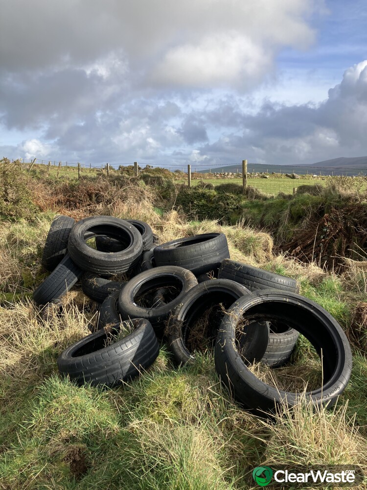 Fly-tipping in Ffordd Bedd Morris, Fishguard - ClearWaste